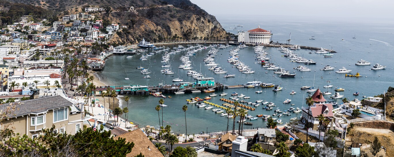 Catalina Island, California | Ports of Call | Disney Cruise Line
