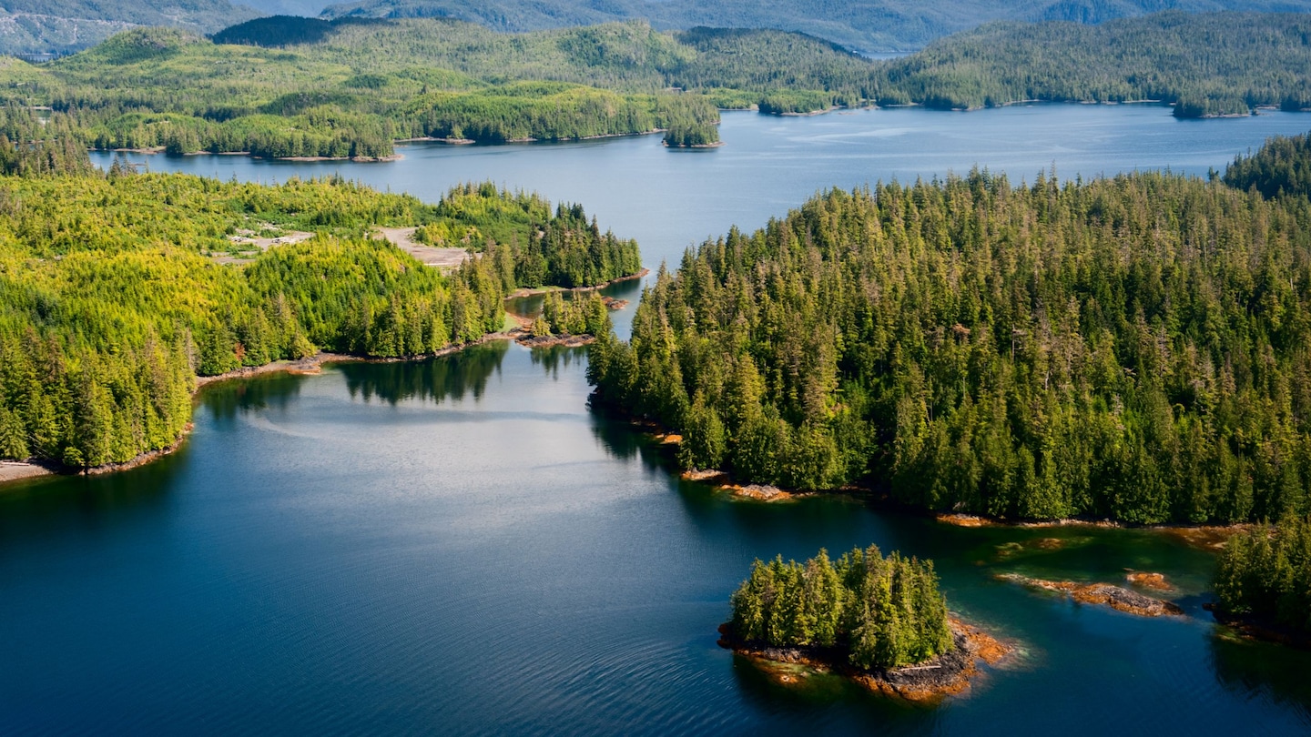 Ward Cove, Ketchikan: Port of Call on Alaskan Cruises | Disney Cruise Line