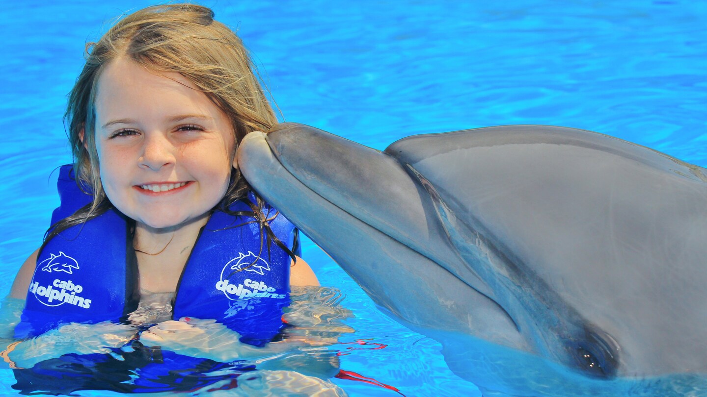 Cabo Dolphin Encounter for Kids | Disney Cruise Line