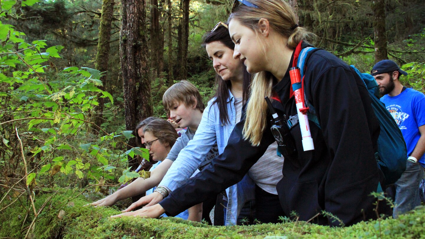 Rainforest Sanctuary & Totem Park Guided Walk Ketchikan | Disney Cruise ...