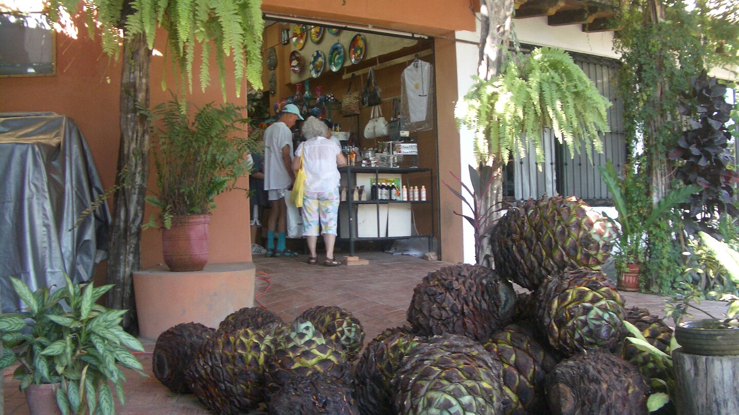 Historic Mezcales Tequila Distillery Tour | Disney Cruise Line