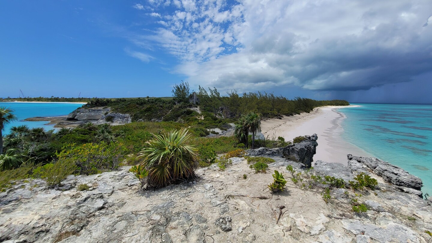 Eleuthera Conservation & Wildlife Excursion | Port Adventures | Disney ...