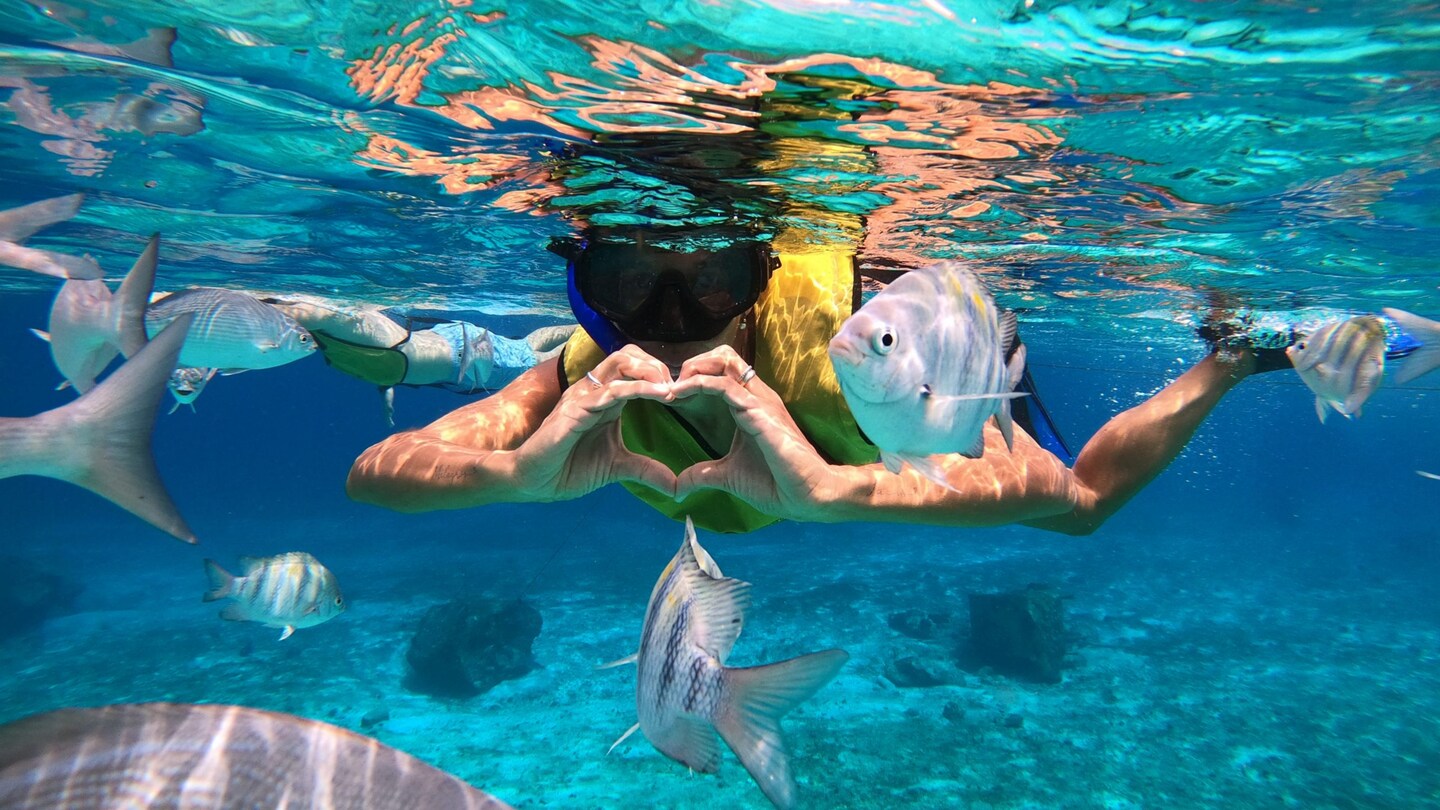 Zip Lines & Snorkeling in Cozumel | Port Adventure | Disney Cruise Line