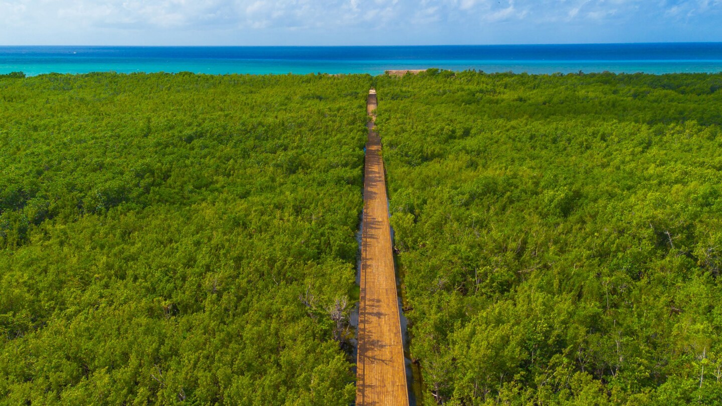 Kuza Beach Club All-Inclusive Pass | Port Adventures | Disney Cruise Line