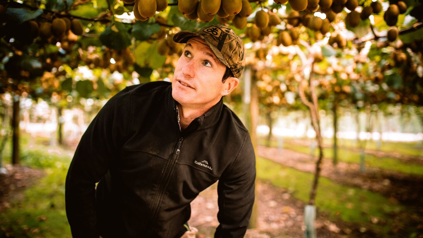 Bay of Plenty Kiwi Orchard & Maketu Cultural Tour | Port Adventures ...