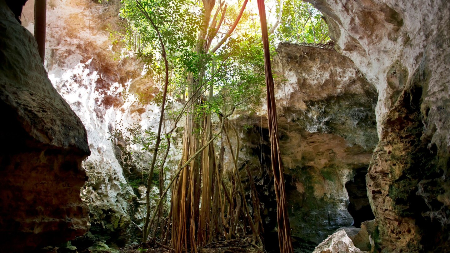 Landmarks Tour of South Eleuthera, Bahamas | Port Adventures | Disney ...