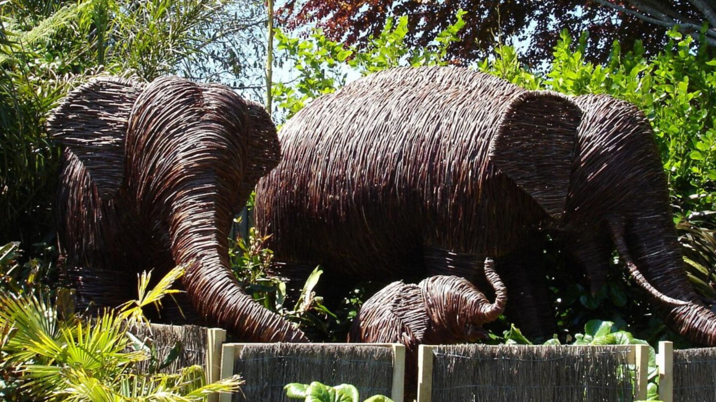 Where adventure and fun await