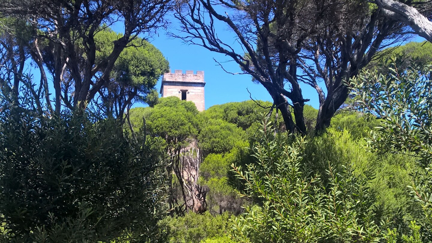 Beowa National Park Tour | Port Adventures | Disney Cruise Line