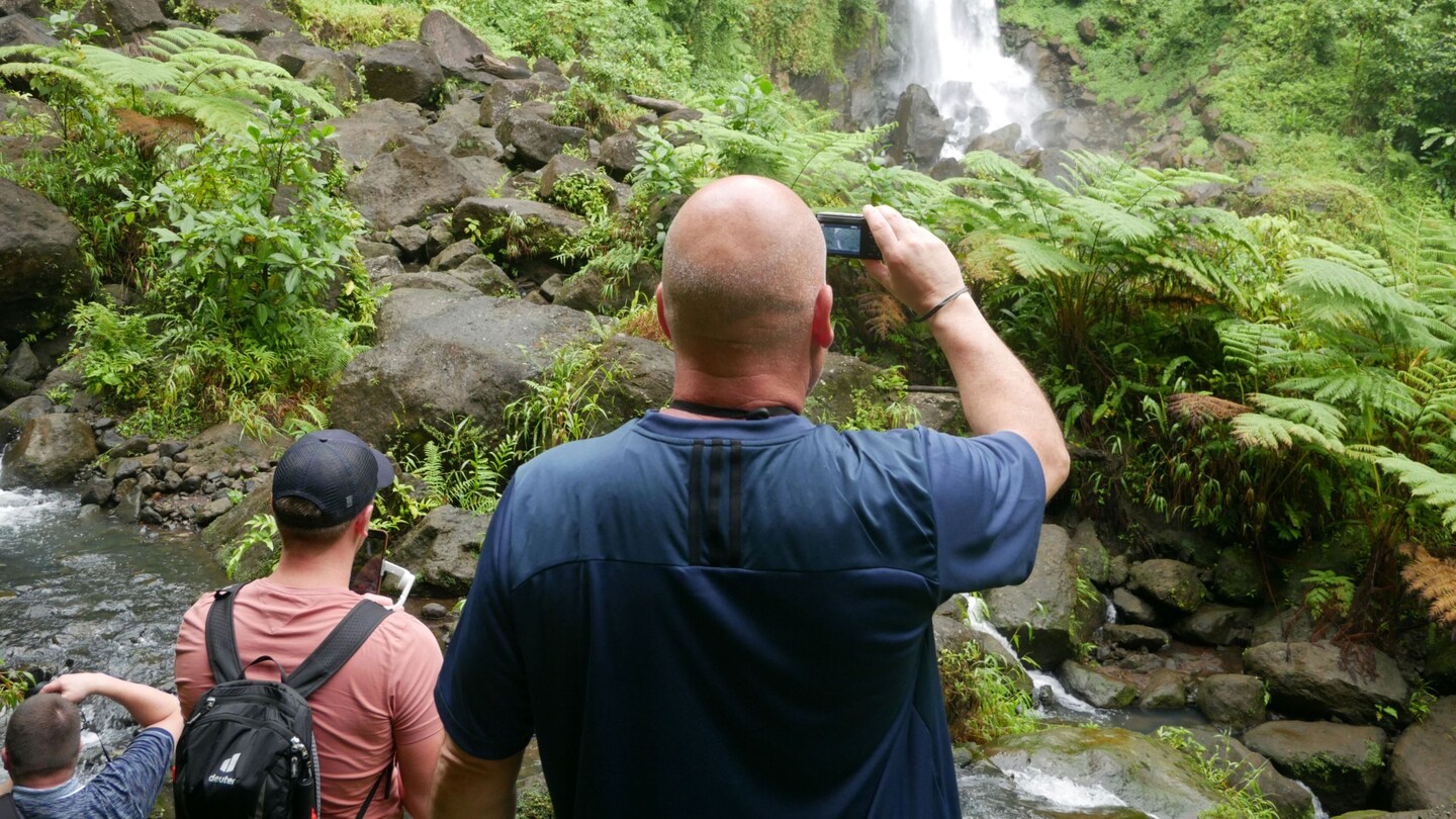 Roseau, Dominica Waterfall & Hot Spring Tour | Port Adventures | Disney ...