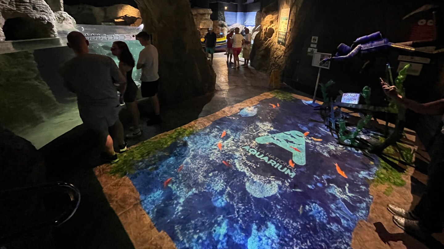 Malta National Aquarium Tour | Port Adventures | Disney Cruise Line