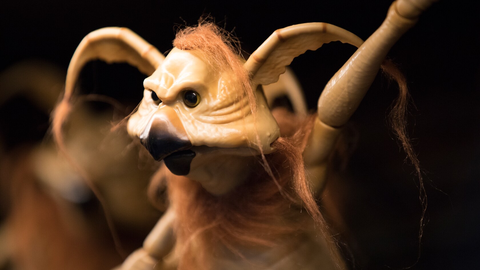 Creature Stall at Disney's Hollywood Studios | Walt Disney World Resort