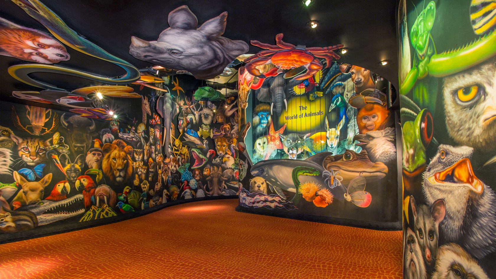 Conservation Station | Animal Kingdom Attractions | Walt Disney World ...