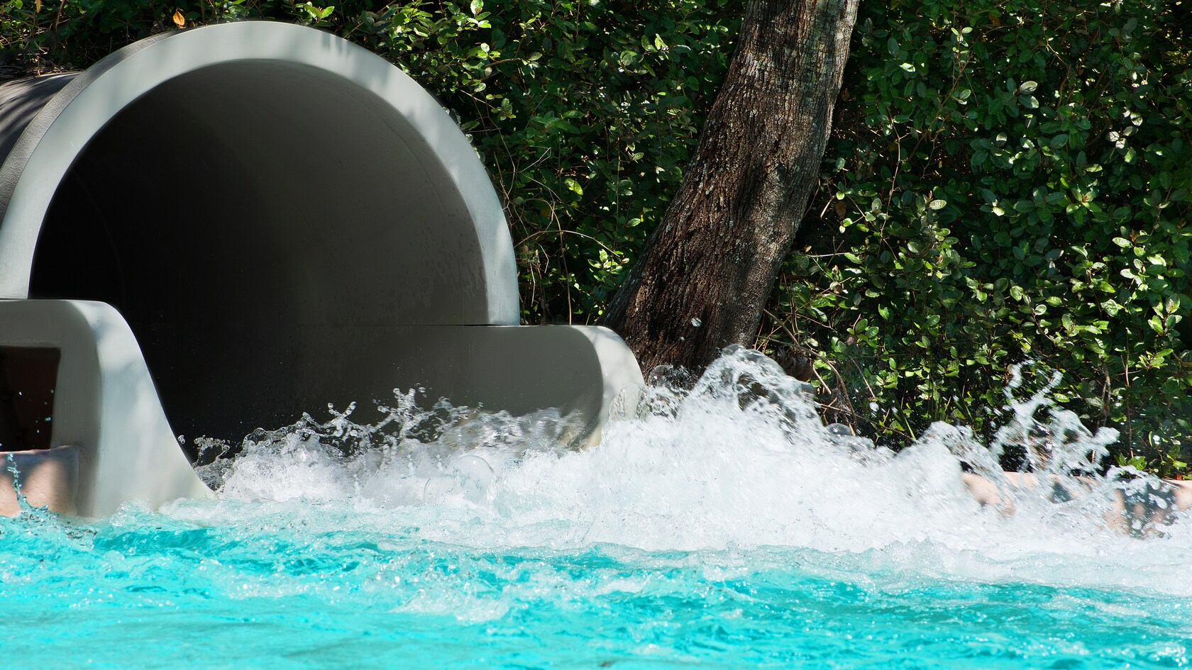 Runoff Rapids | Blizzard Beach Attractions | Walt Disney World Resort