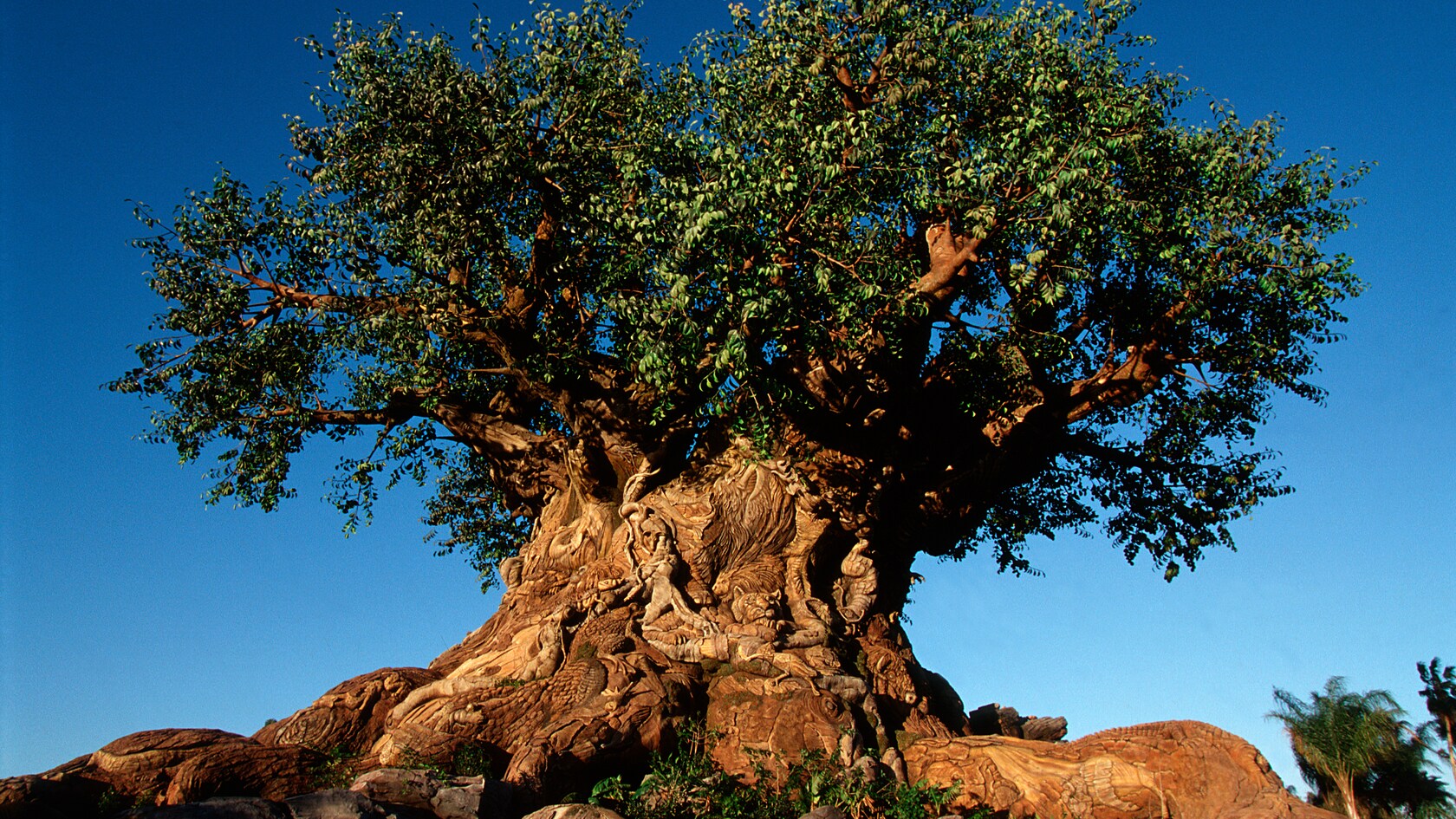 Ziwani Traders | Disney’s Animal Kingdom Theme Park | Walt Disney World ...