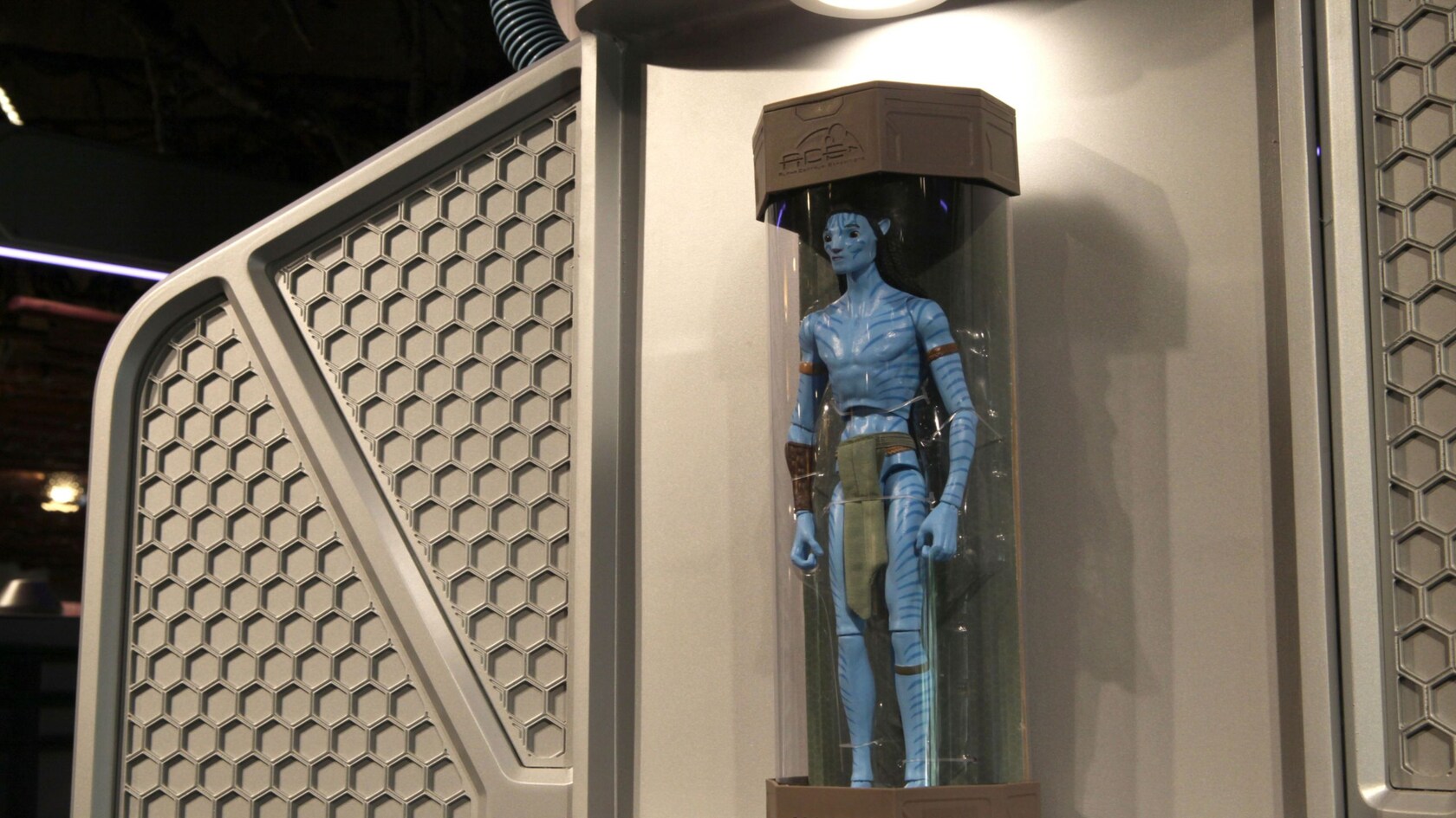 Windtraders Shop at Pandora | Walt Disney World Resort