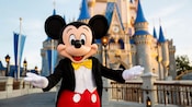 Special Offers, Deals & Discounts | Walt Disney World Resort