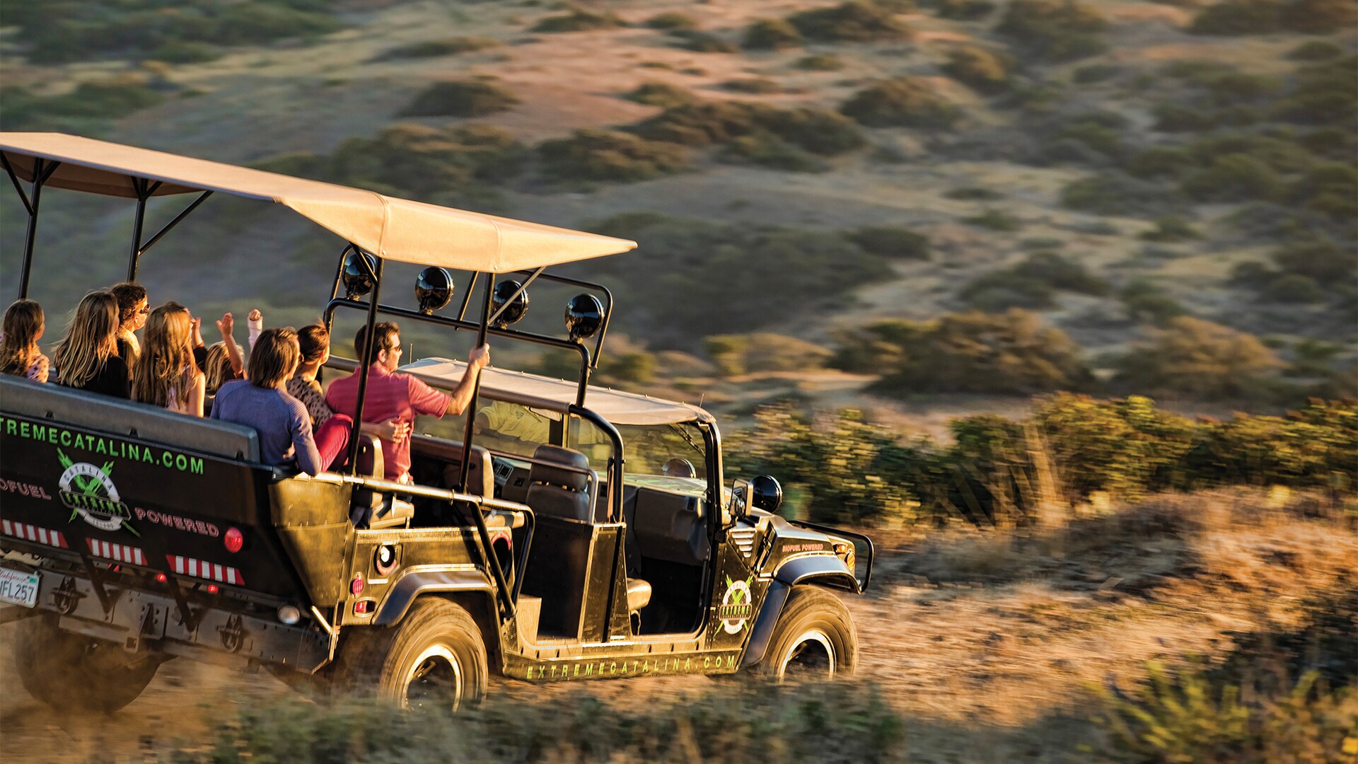 Bison Expedition - Meet Catalina Island’s Wildlife | Disney Cruise Line