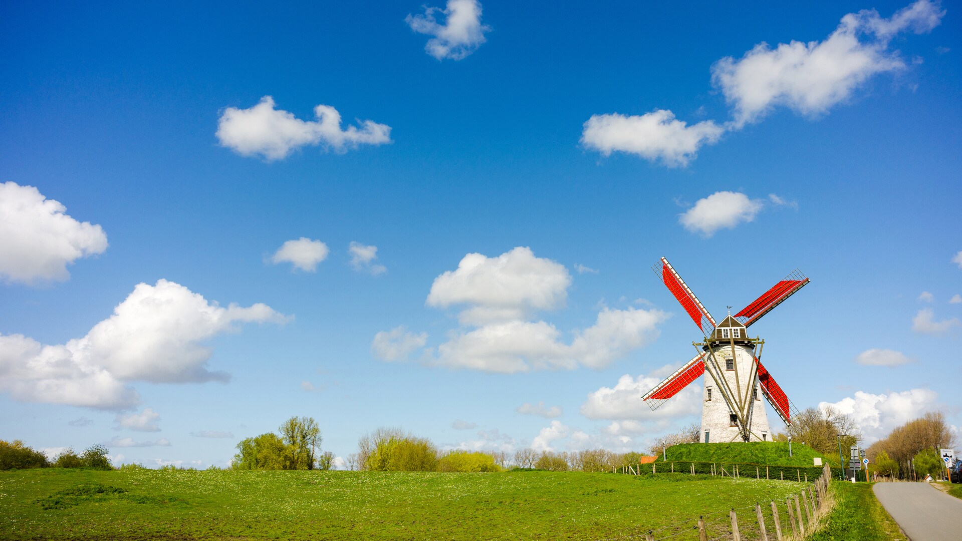 Belgian Countryside Biking | Disney Cruise Line