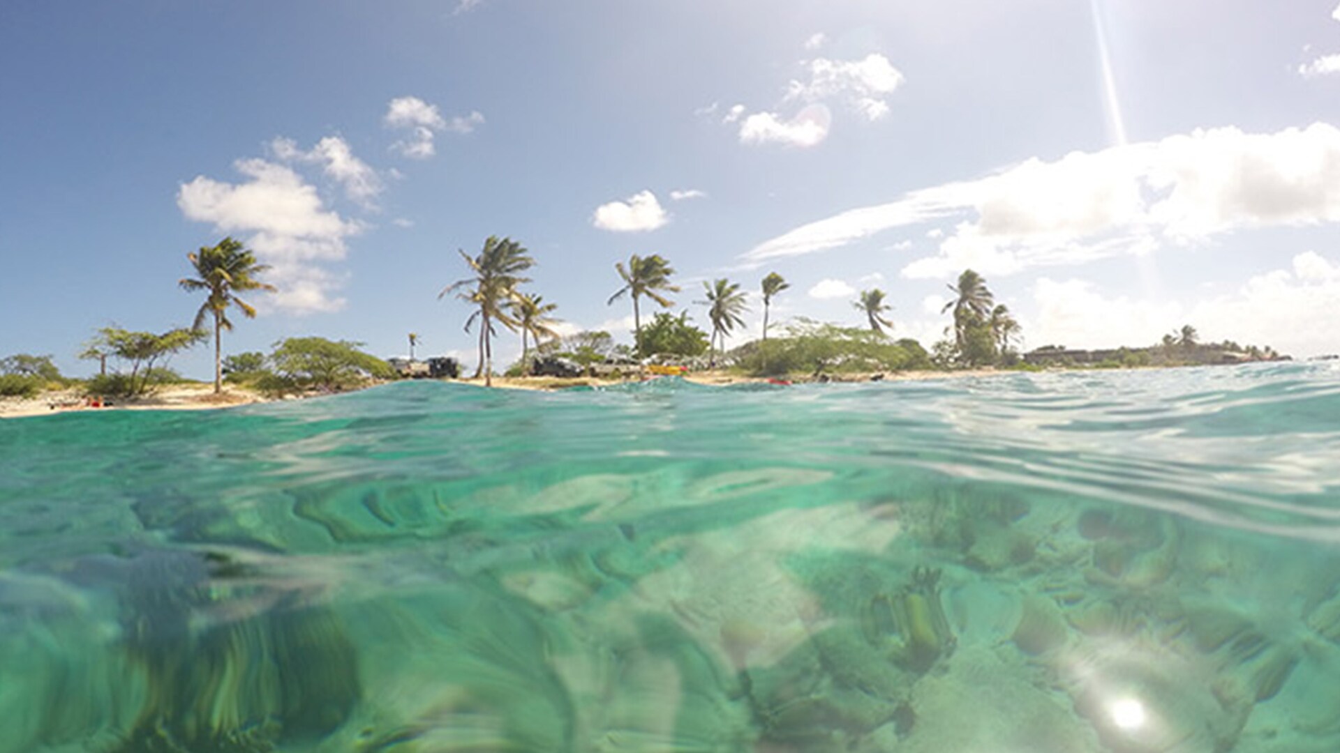 Bonaire Mangrove Kayaking in Lac Bay National Park | Disney Cruise Line