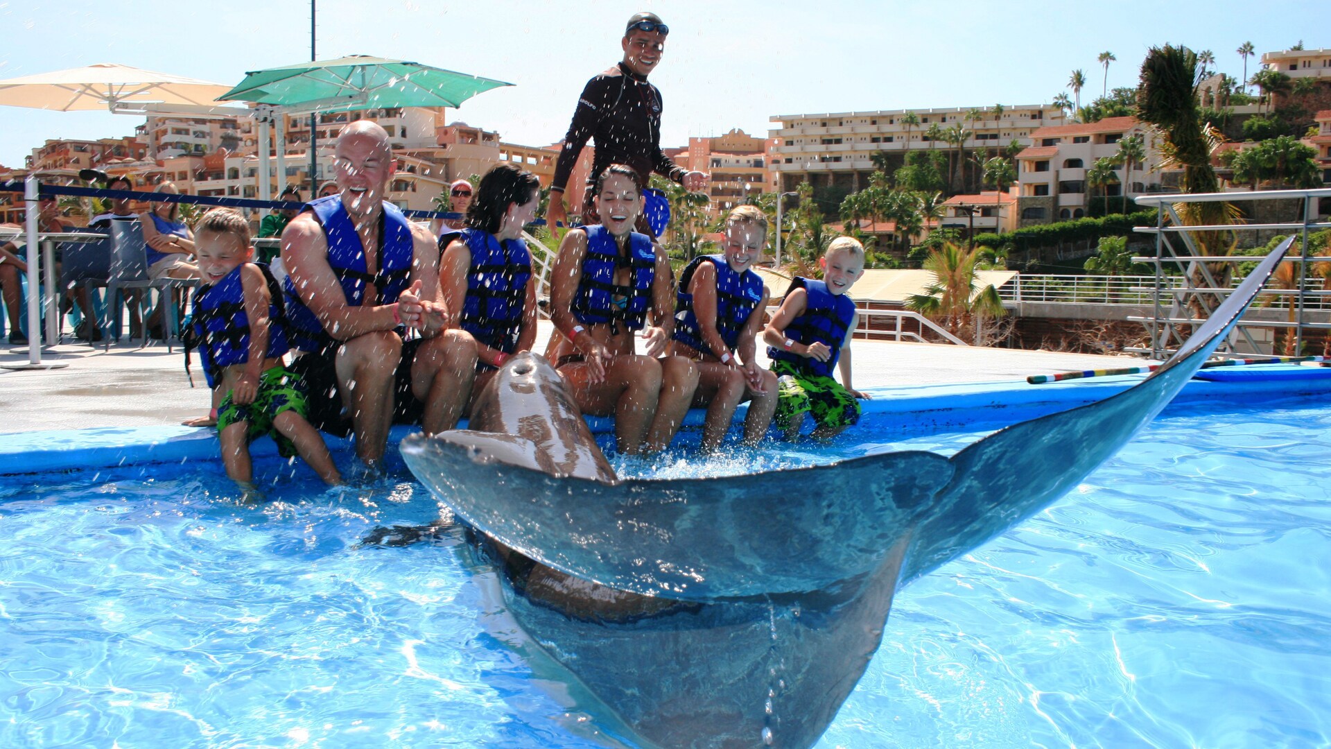 Family Dolphin Encounters in Cabo | Disney Cruise Line