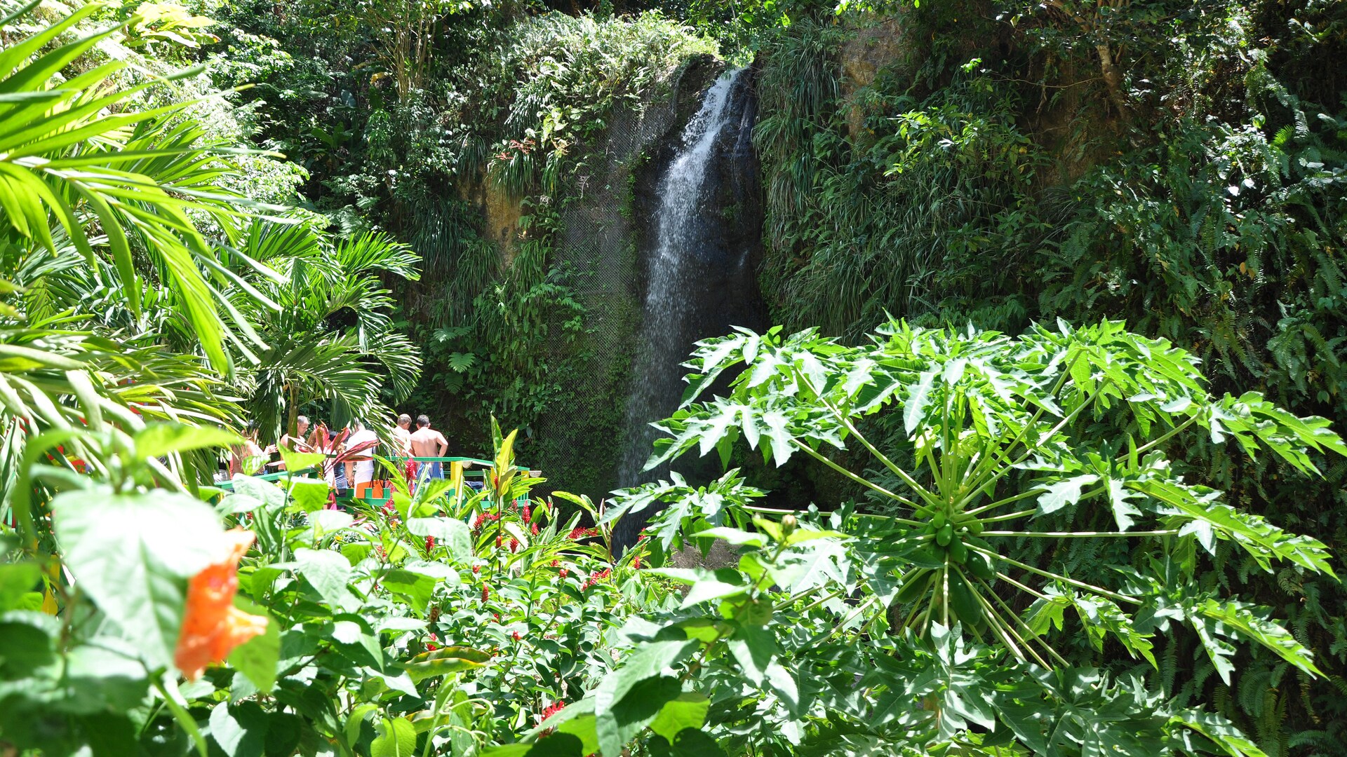 Tropical Waterfall Experience | Disney Cruise Line