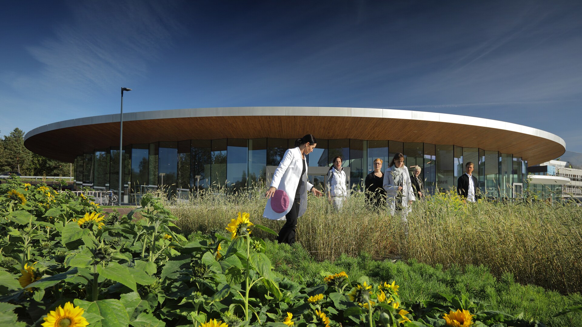 Fazer Chocolate Tour & Helsinki Sightseeing | Disney Cruise Line