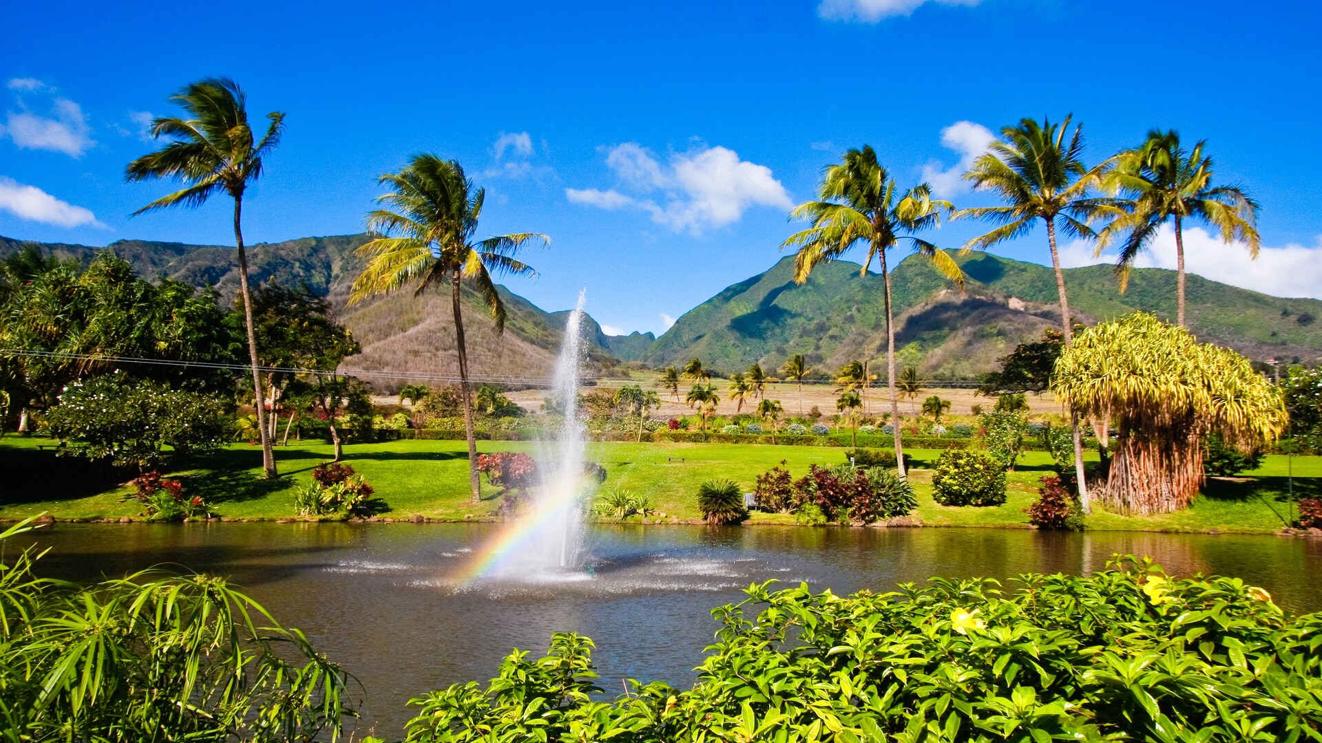 Iao Valley and Maui Tropical Plantation Tour | Disney Cruise Line