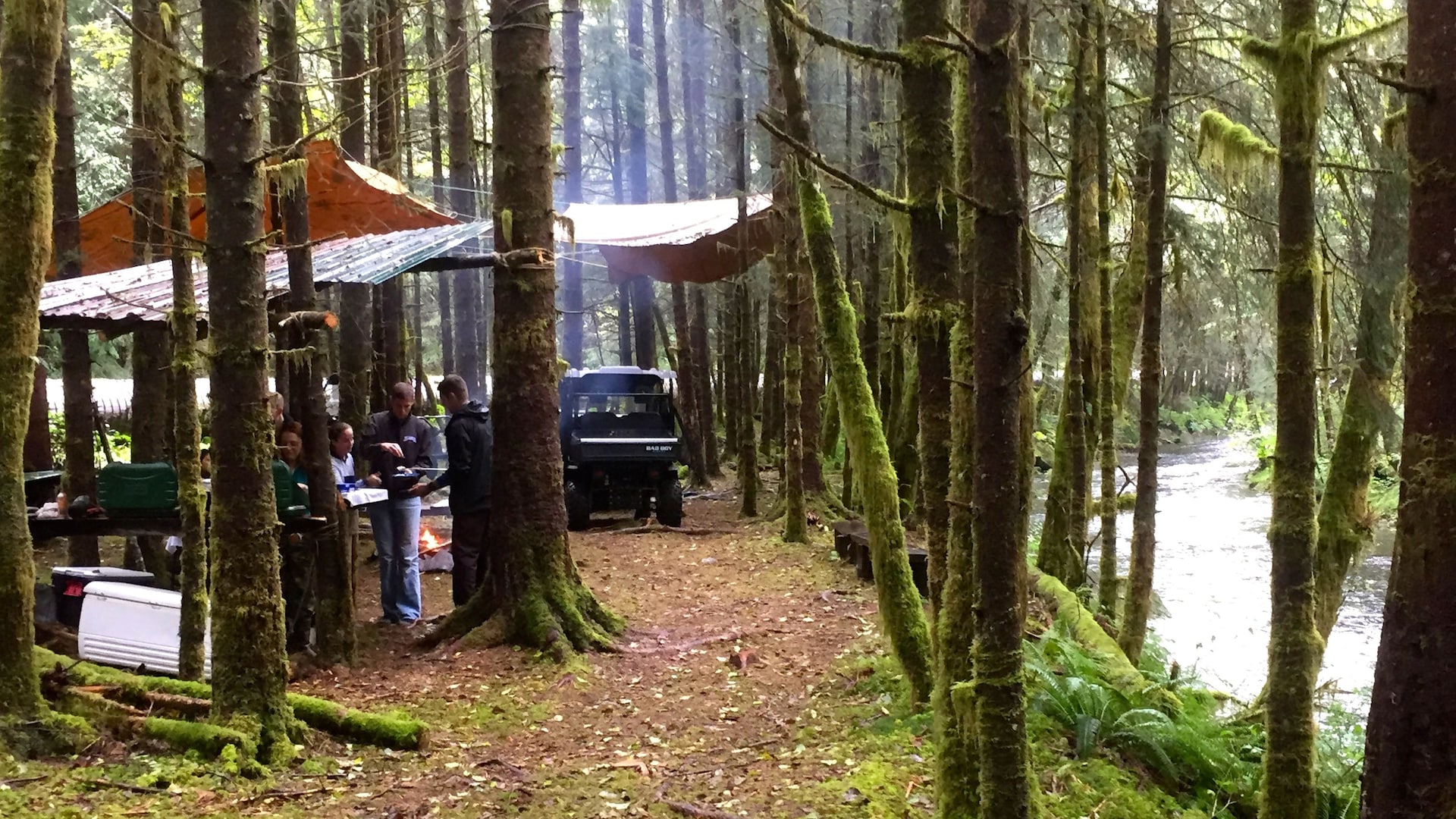 Rainforest Family Adventure | Disney Cruise Line