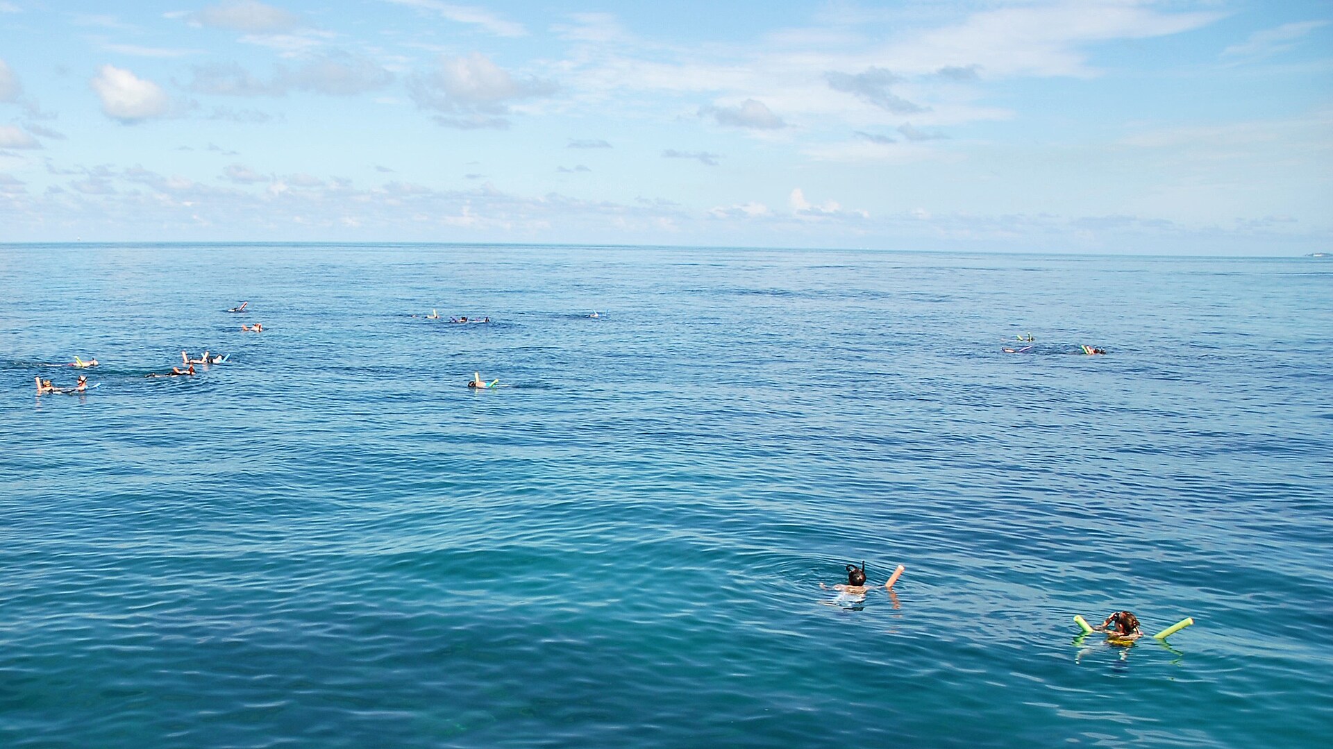 Bermuda Catamaran Adventure & Coral Reef Snorkeling | Disney Cruise Line