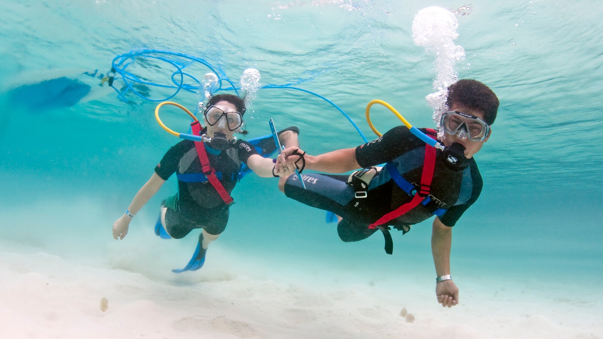 Bermuda SNUBA Experience | Disney Cruise Line