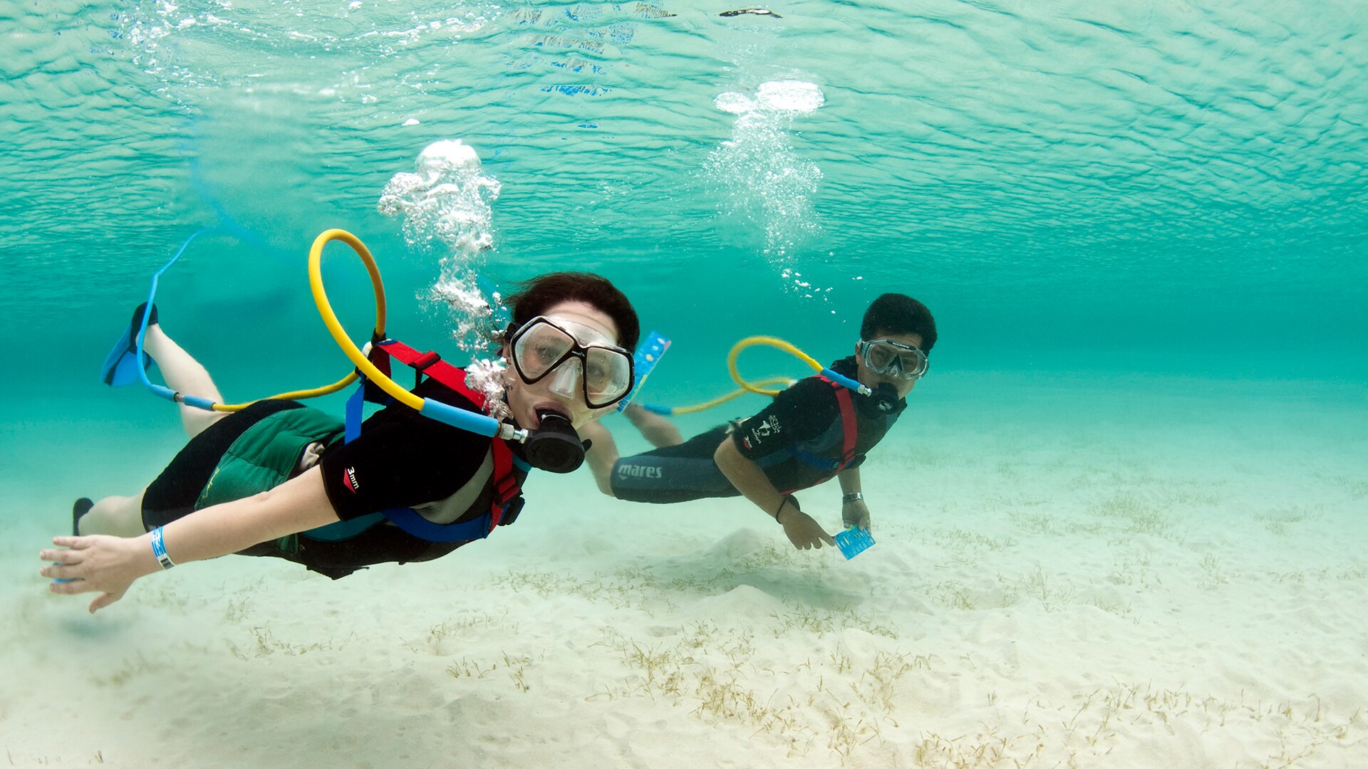 Snuba & De Palm Island Beach Day | Disney Cruise Line