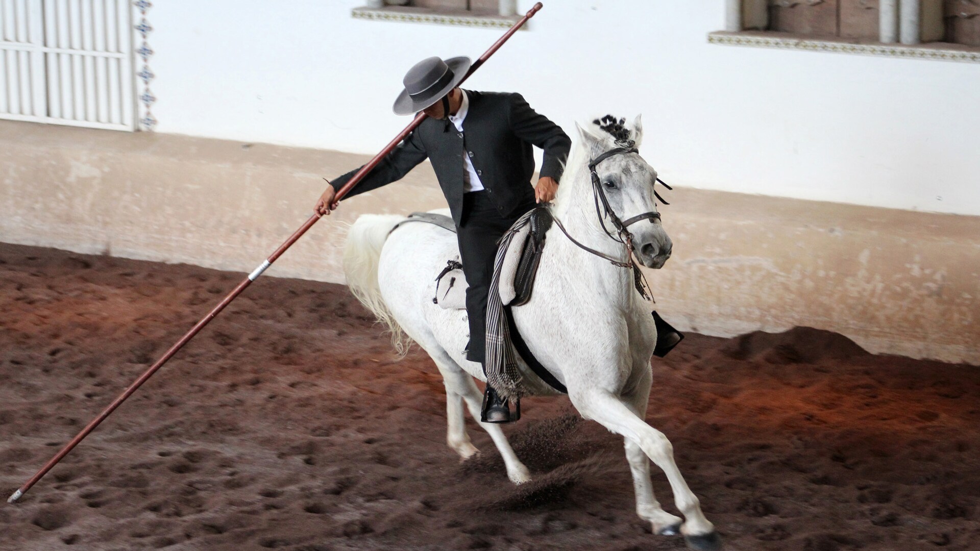 Andalusian Horse Show & El Jardin Souvenir Market | Disney Cruise Line