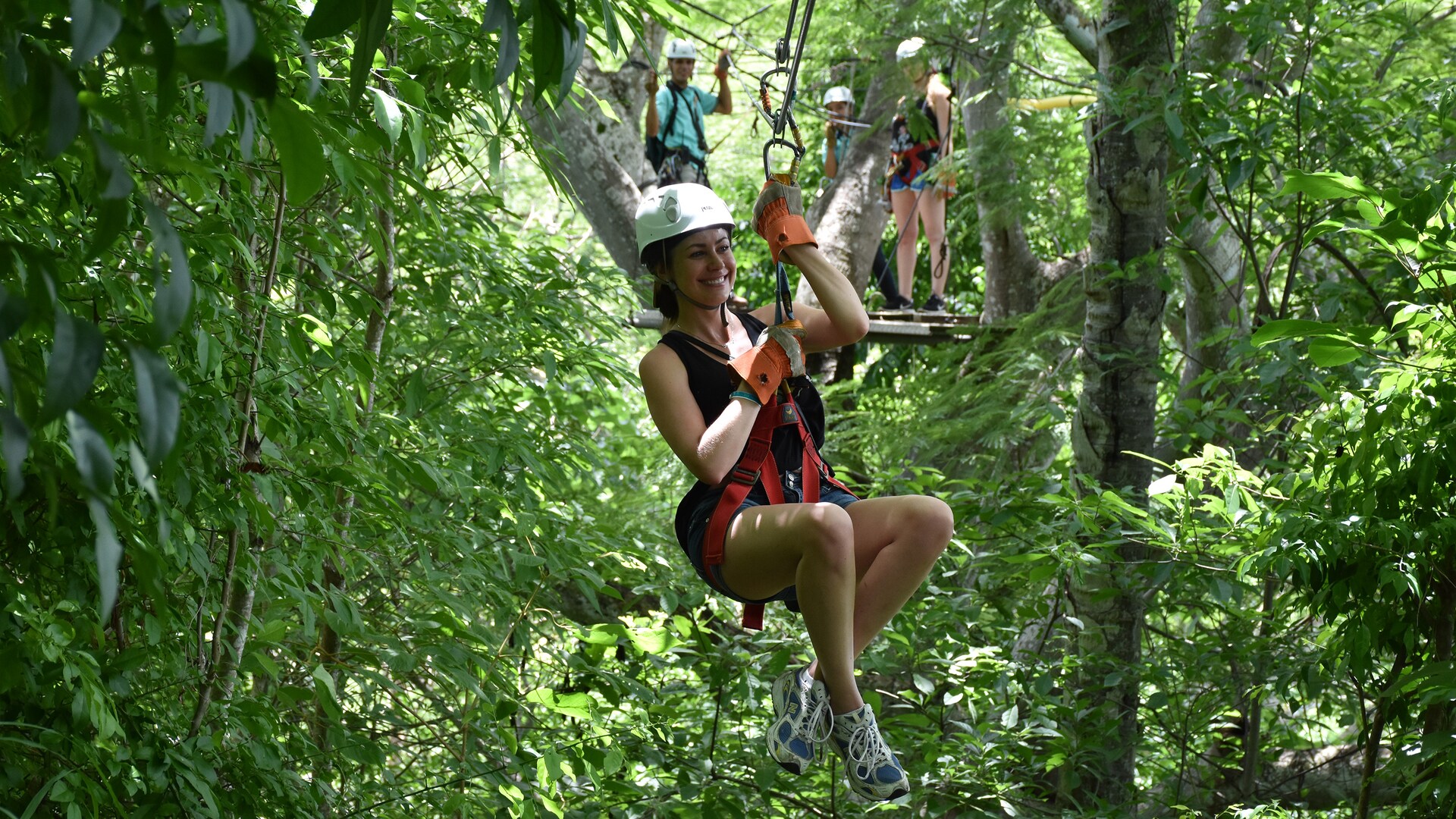 Tropical Forest Original Canopy Tour | Disney Cruise Line