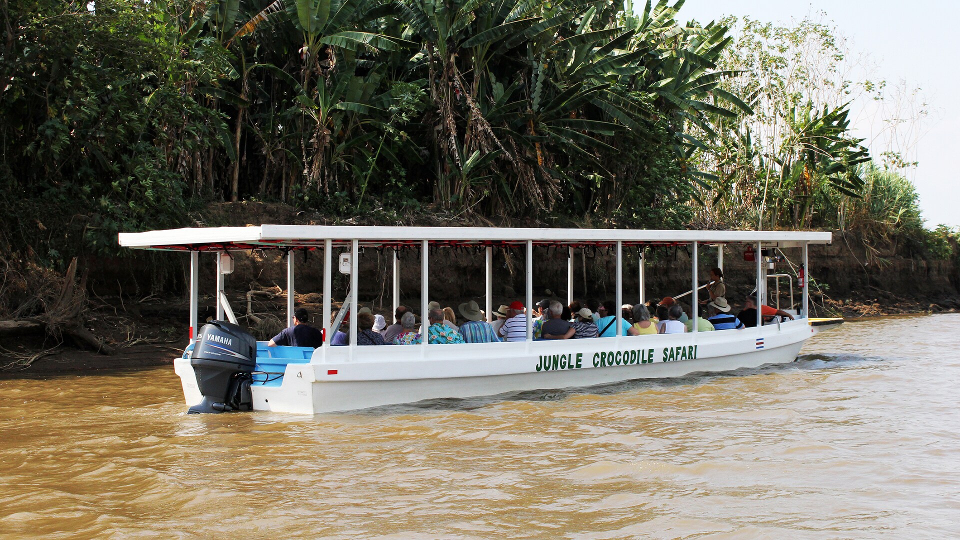 Tropical Forest Aerial Tram, River Cruise & Lunch | Disney Cruise Line