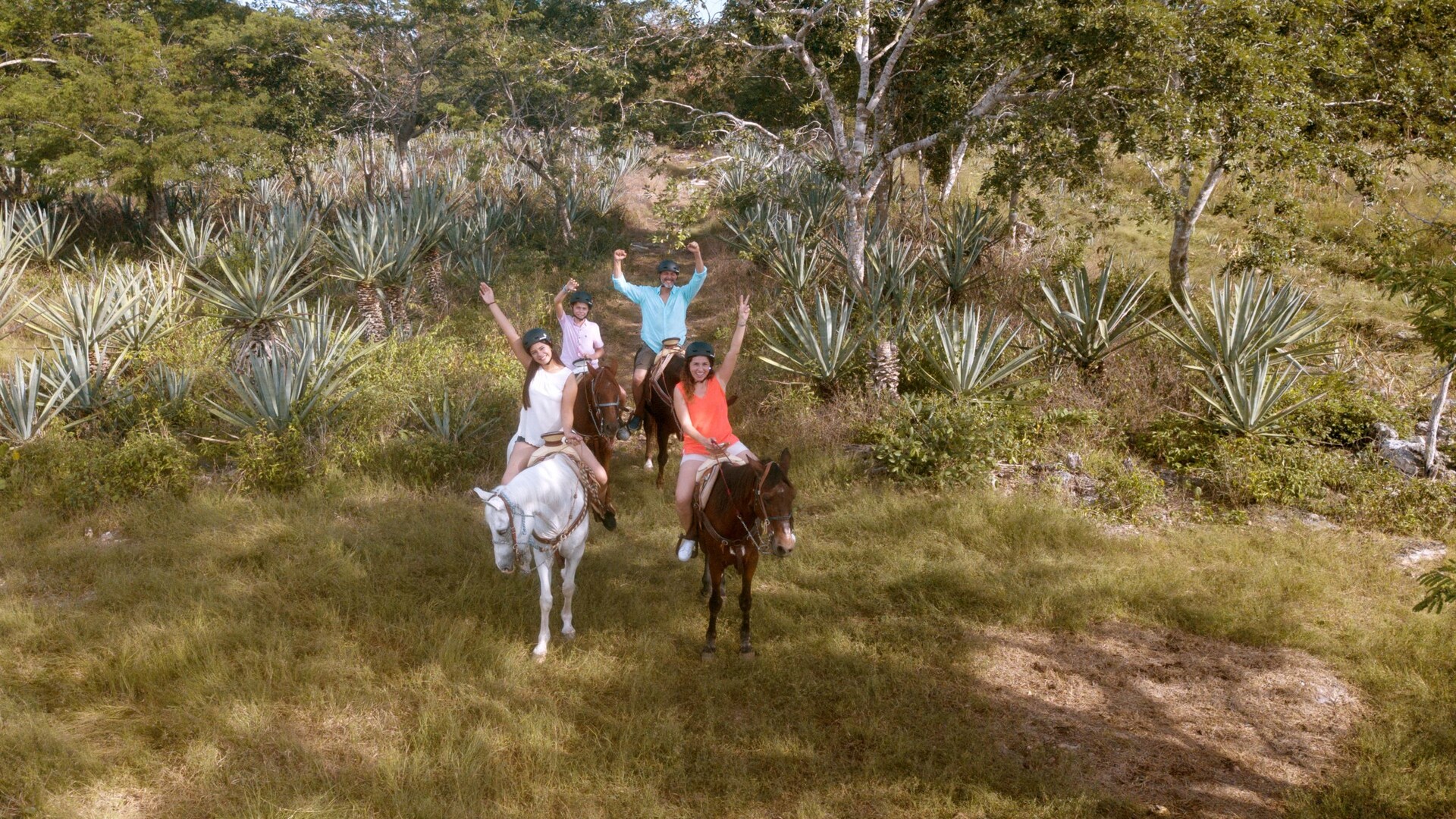 Horseback Riding in Sisal Plantations - Progreso, Mexico | Disney ...