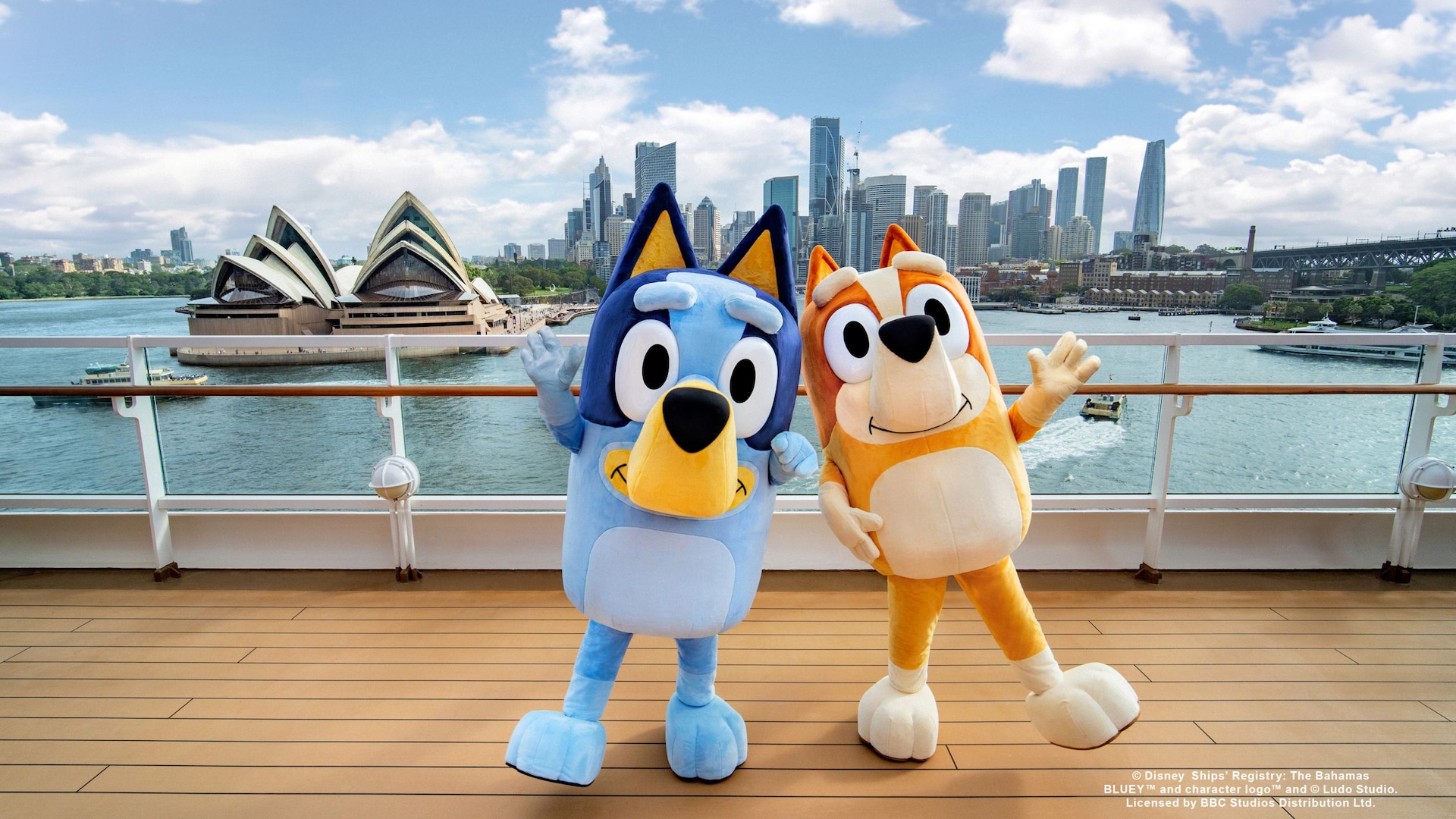 Meet Bluey & Bingo Onboard the Disney Wonder | Disney Cruise Line ...