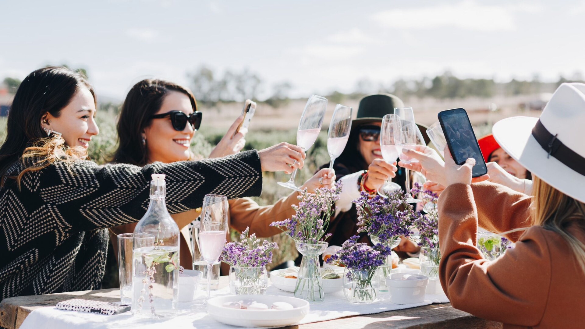 Lavender Field Picnic with Wine Tasting | Port Adventures | Disney ...