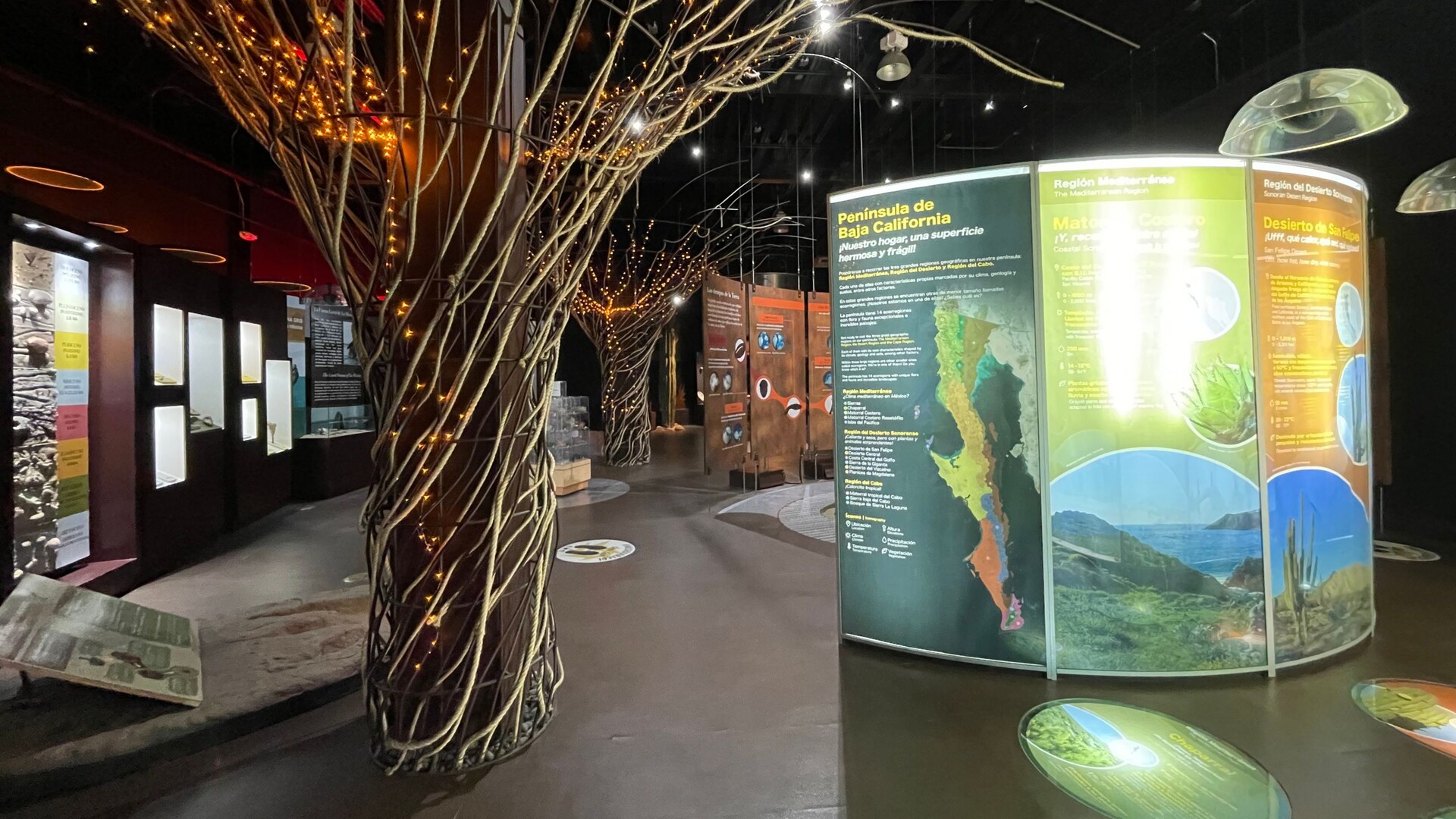 Ensenada Family Museums & Planetarium | Port Adventures | Disney Cruise ...