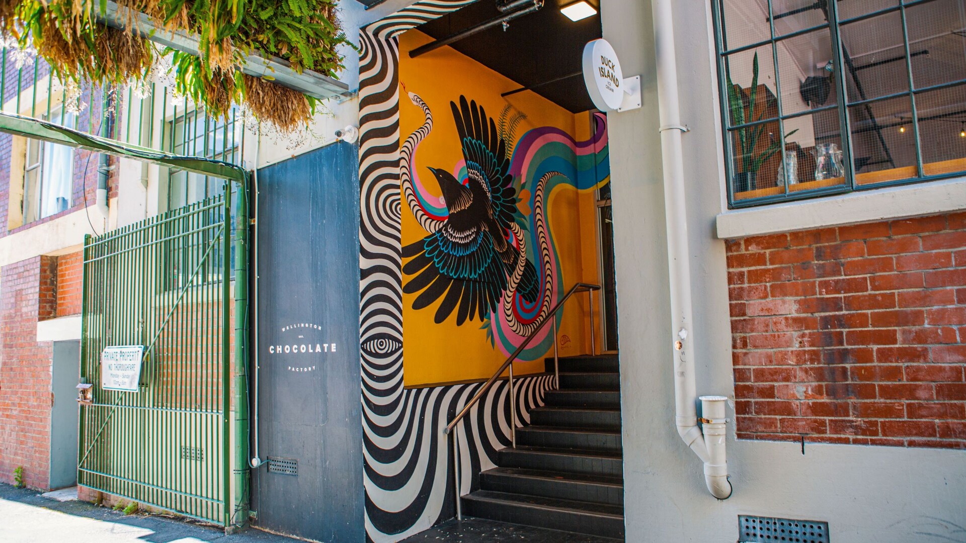 Chocolate-Making and Ice Cream Tasting in Wellington | Port Adventures | Disney Cruise Line