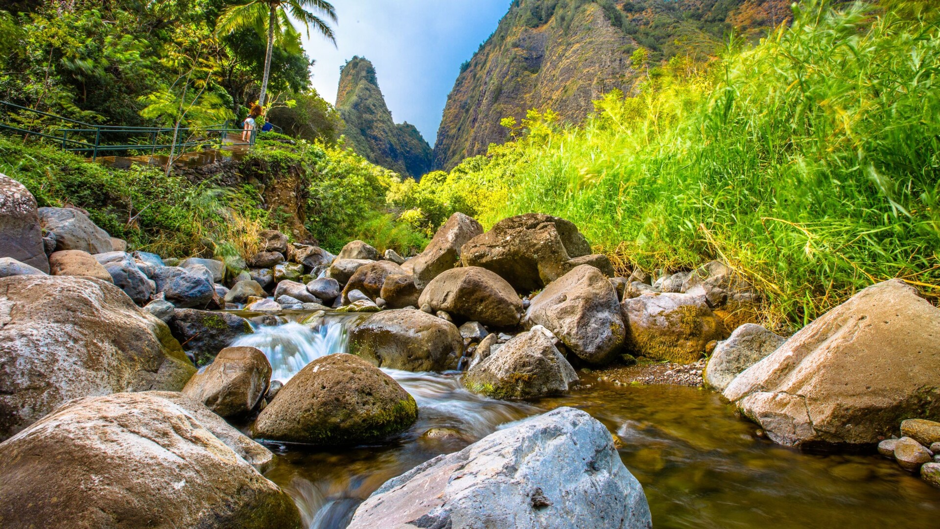 Historic Tour & Secret Waterfall in Wailuku, Maui | Disney Cruise Line
