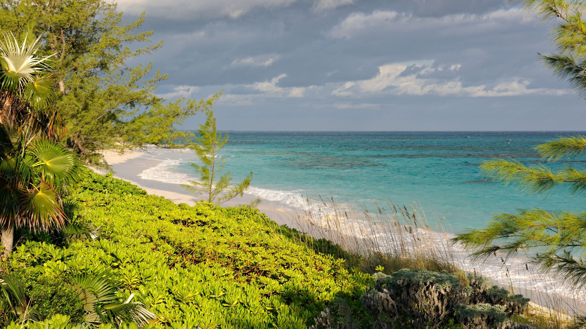 Gaulding Cay Off-Road Buggy Tour | Port Adventures | Disney Cruise Line