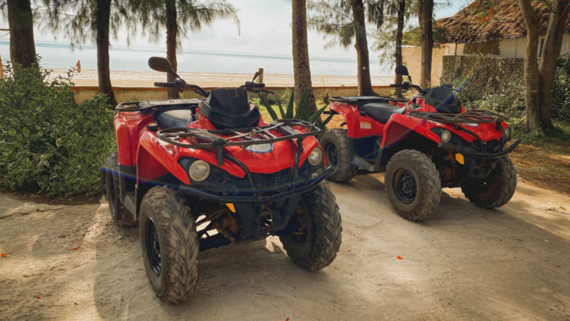 ATV Tour from Disney's Lookout Cay| Port Adventures | Disney Cruise Line
