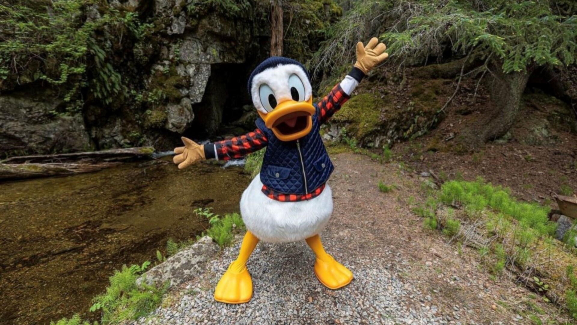 Disney Exclusive Liarsville Gold Rush Trail Camp and Salmon Bake ...