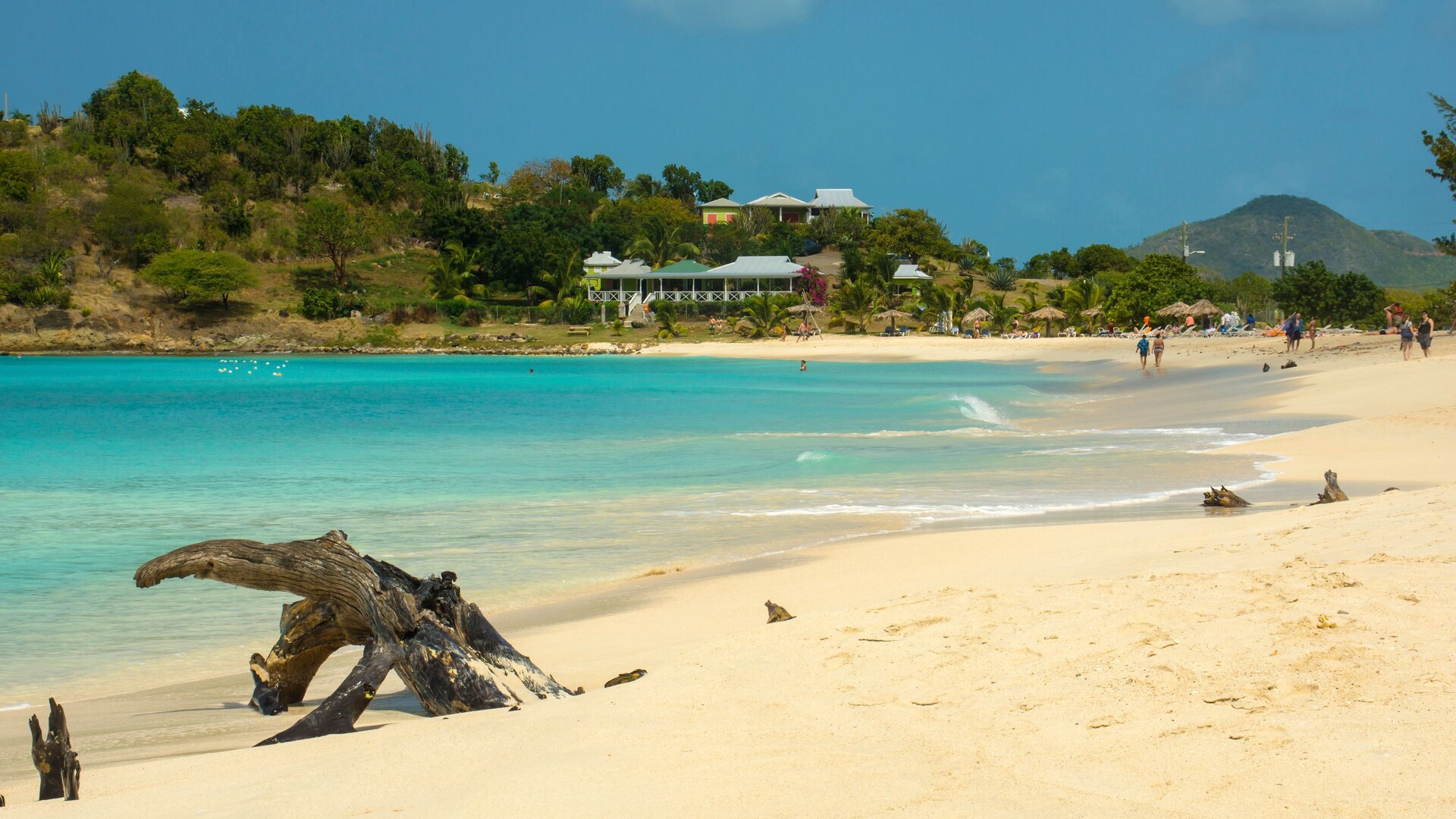Surfers Bay Beach Day in the British Virgin Islands | Port Adventures ...