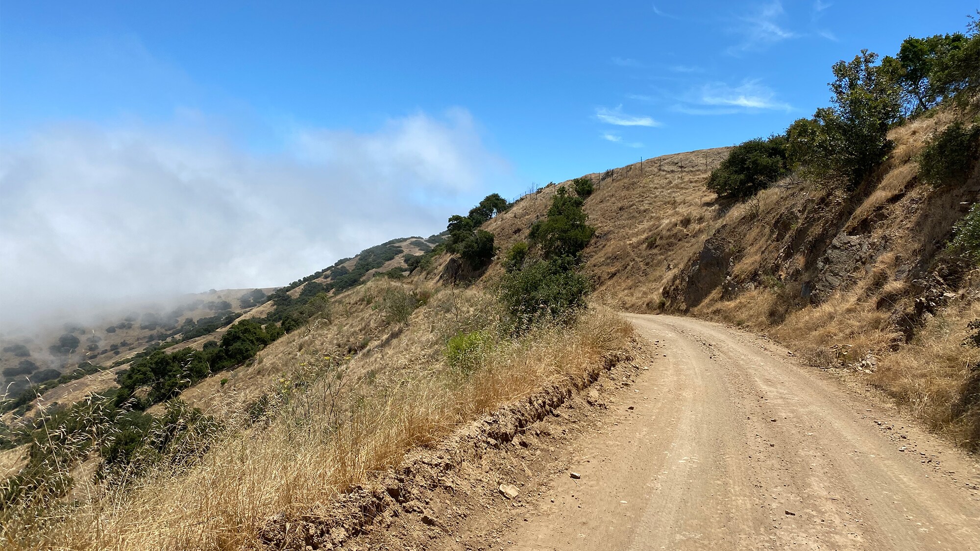 Ridgetop Eco Adventure - Open-Air Biofuel Hummer | Disney Cruise Line