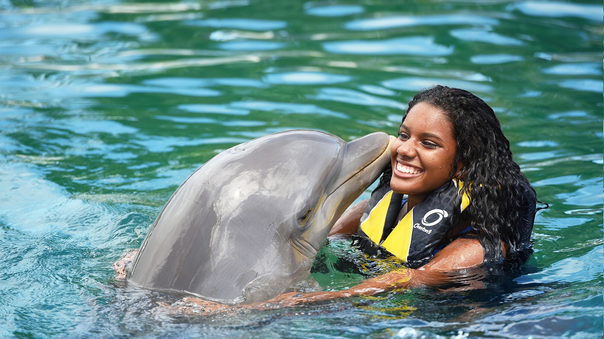 Dolphin Swim and Ocean World Adventure | Disney Cruise Line
