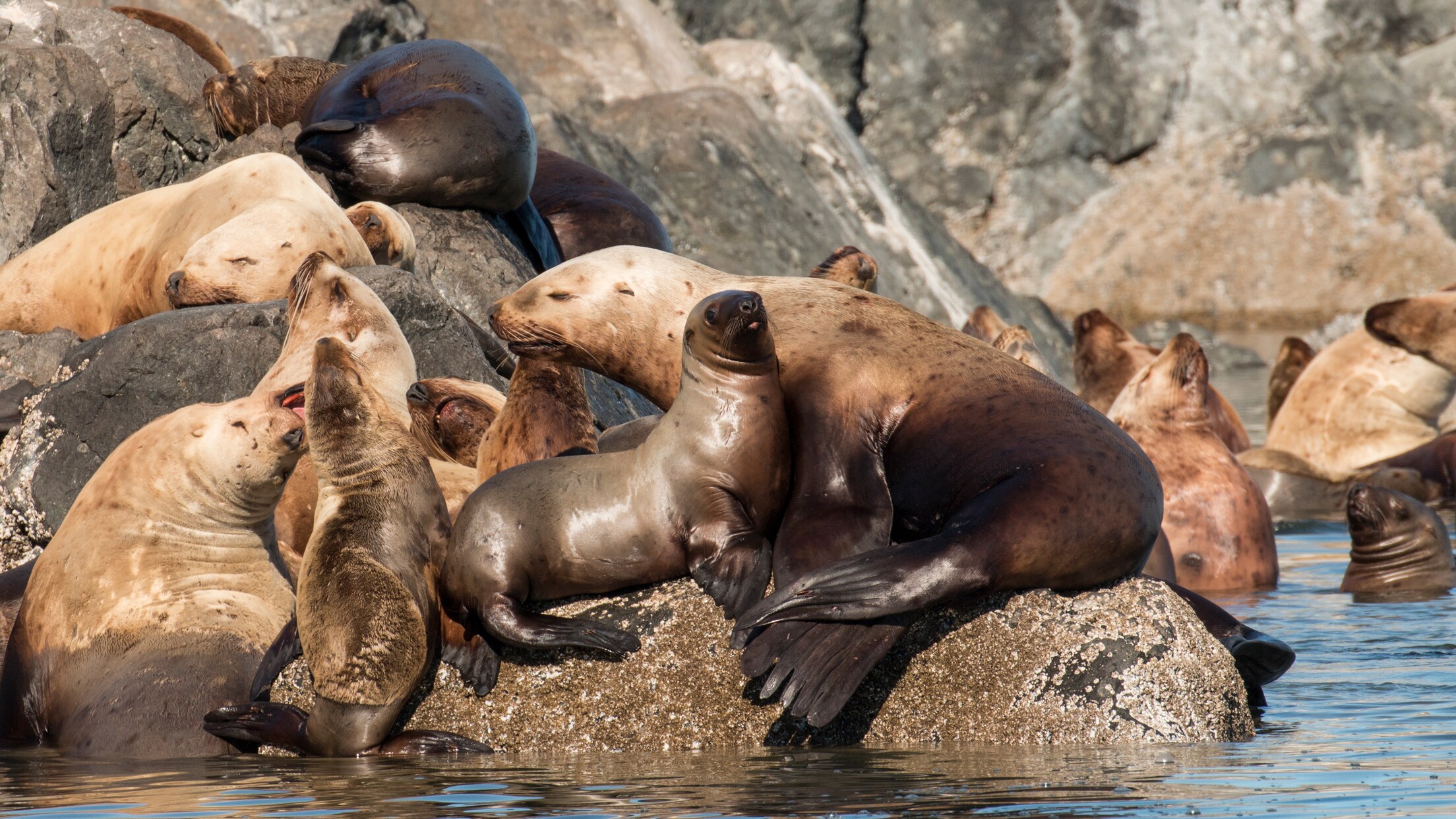 Sitka Islands Boat Tour in Alaska | Port Adventures | Disney Cruise Line