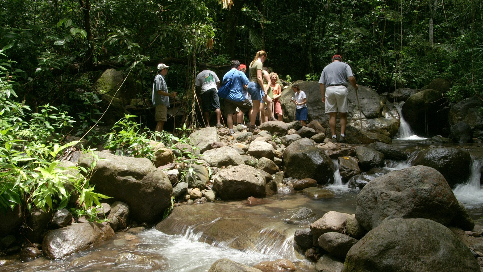 St. Kitts Rainforest Hike | Disney Cruise Line