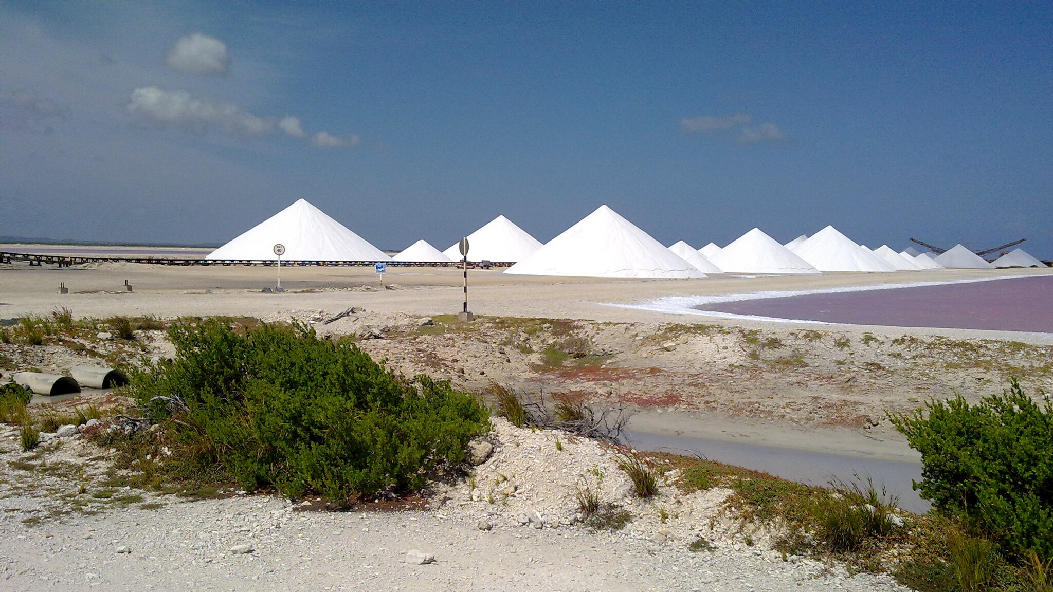 Bonaire Donkey Tour & Salt Flats | Disney Cruise Line