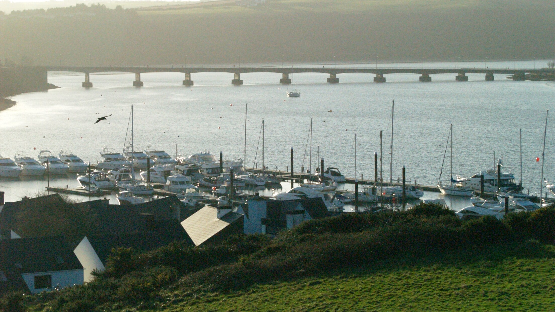 Cork Harbour Sea Safari & Irish Coffee | Disney Cruise Line